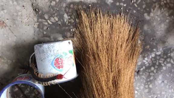 #我要上头条# #咱家真有矿#