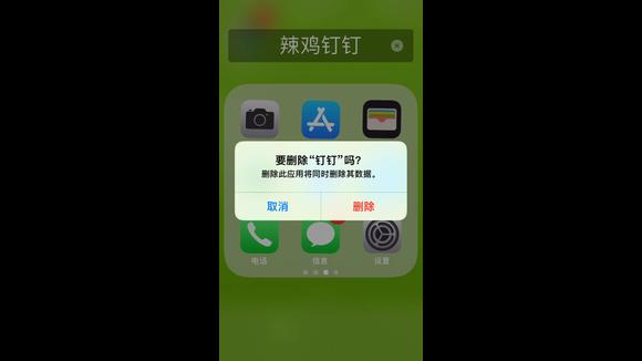 我该删除辣鸡钉钉吗?#钉钉##辣鸡钉钉官方#