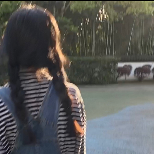 壹只野 