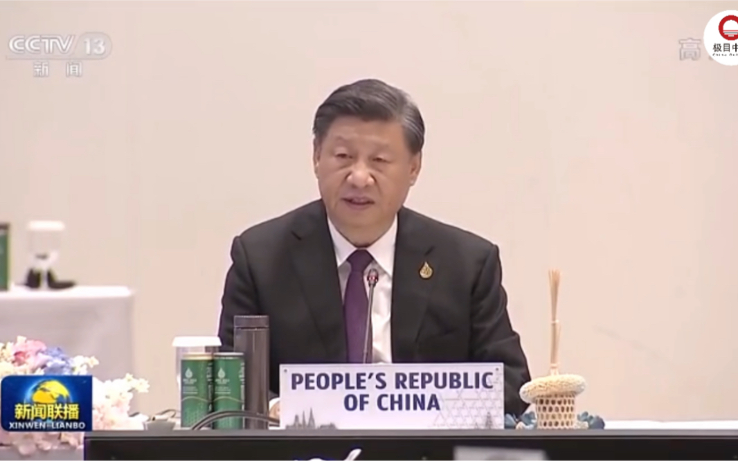 习近平出席亚太经合组织第二十九次领导人非正式会议并发表重要讲话