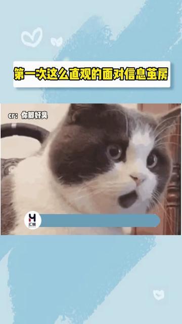 第一次这么直观的面对信息茧房,你只能看见程序想让你看见的…太...