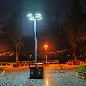 小愚老诗 