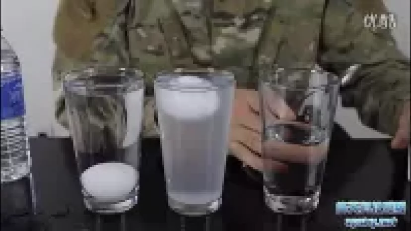 05-鸡蛋在清水-浓盐水-淡盐水中沉浮状态不同(液体的密度不同使没入...