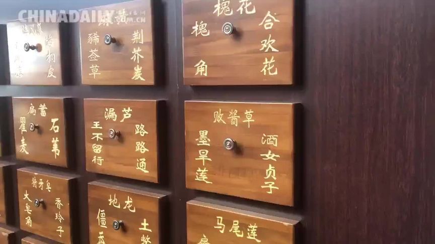 【中国有约】外国网红体验中医药制作:"看看我葫芦里的药"
