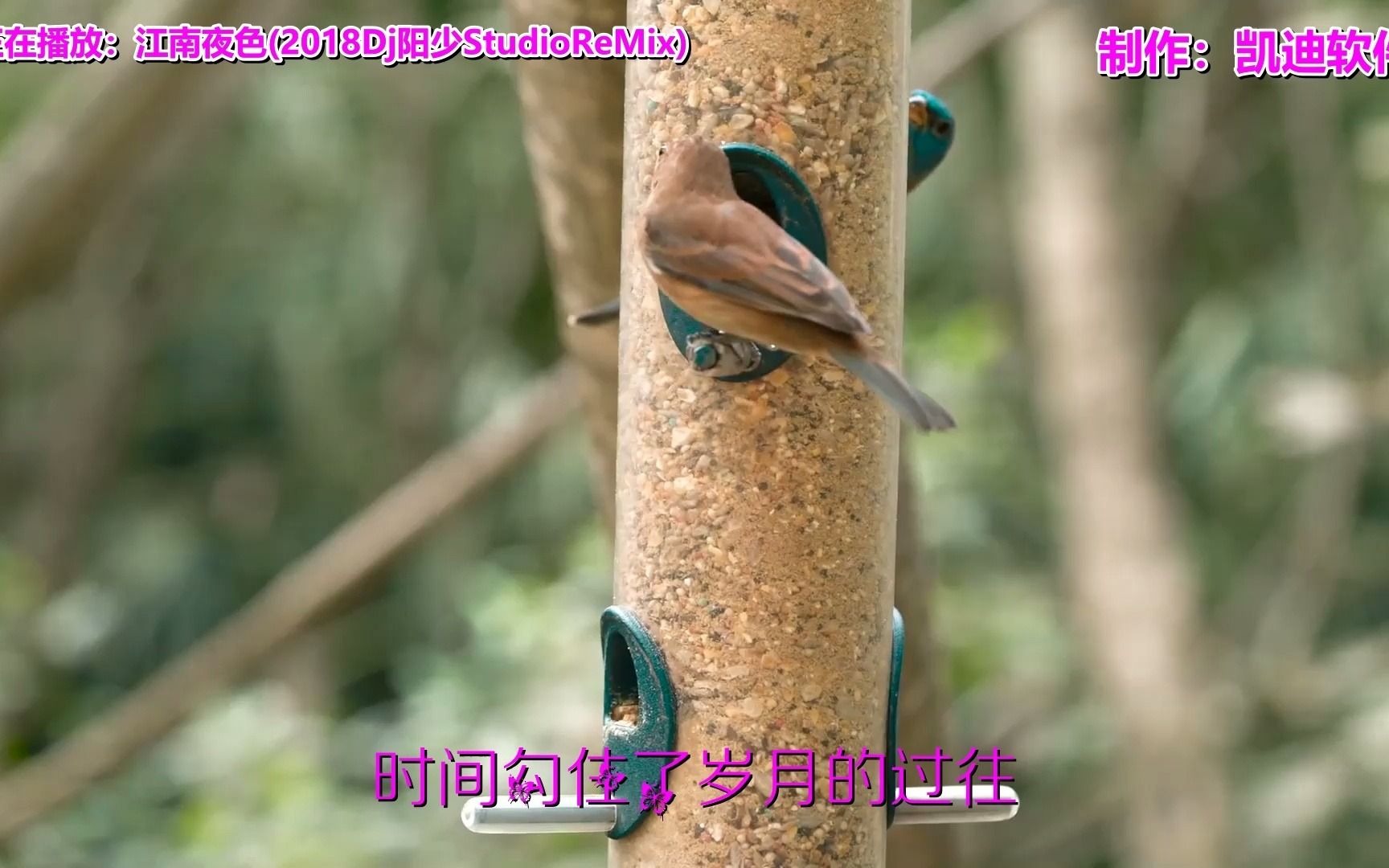 《江南夜色(2018Dj阳少StudioReMix)》欣赏,拍mv用什么手机软件可以...