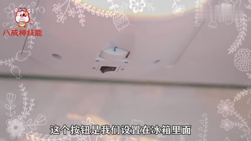 冰箱的这个按钮,你使用对了吗?快看看,每月轻松省下一半电费