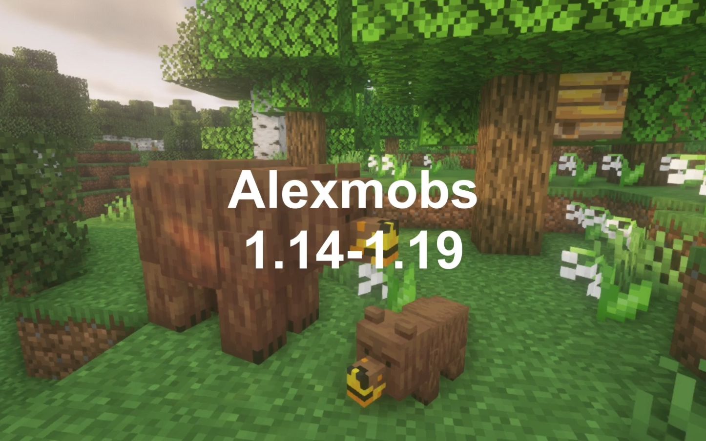 [Alex模组介绍]第一期:灰熊