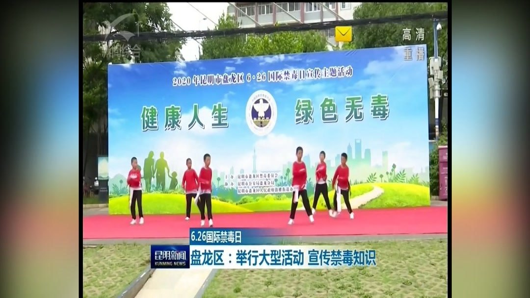 盘龙区:举行大型活动 宣传禁毒知识