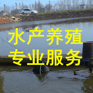 康强水产养殖技术服务 