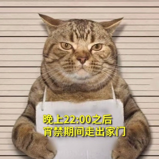 路遥君呀 