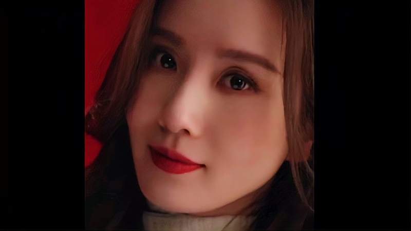 刘诗诗广告代言新年贺岁出炉