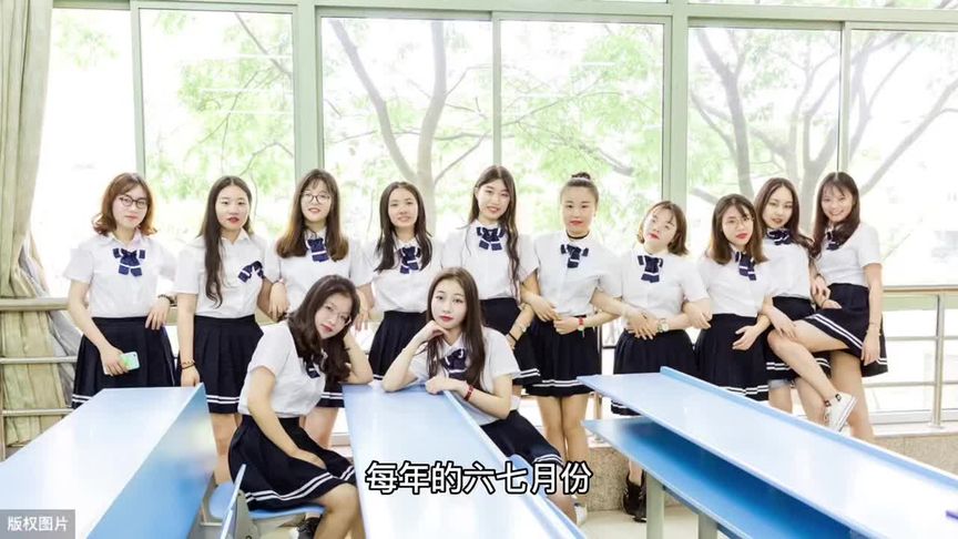 会计专业应届生职业应该如何规划?#会计实操 #知识分享