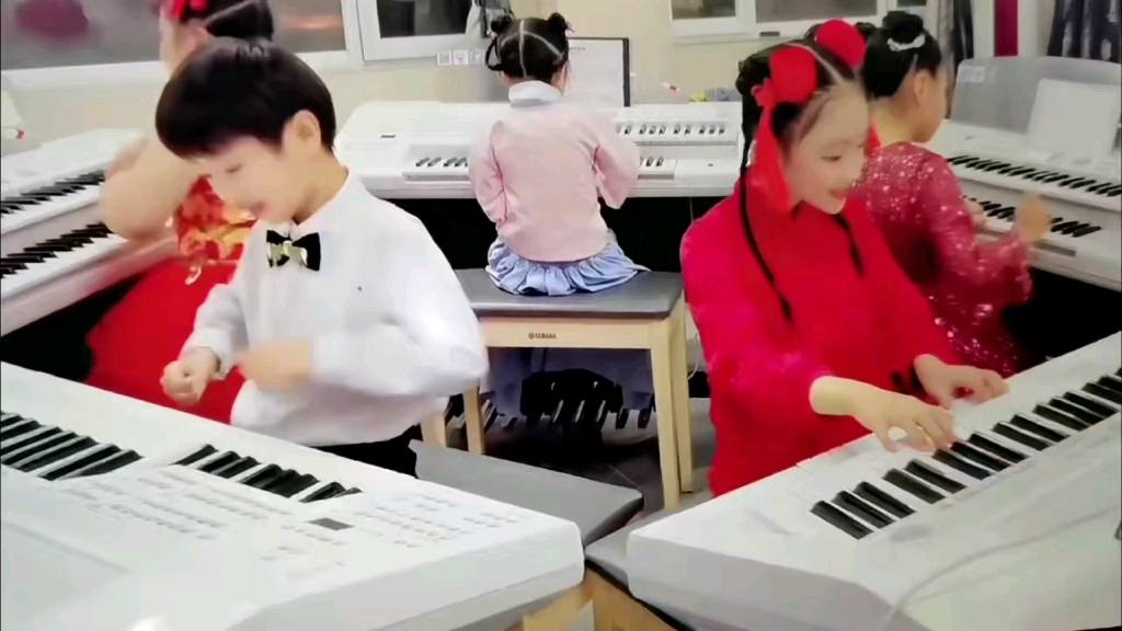 赛禅音琴行双排键双排键电子管风琴演奏…