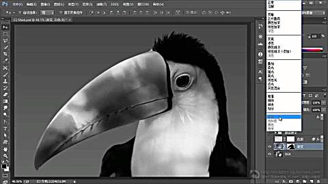 photoshop cs3教程 如何抠图 photoshop 7.0 绿色版