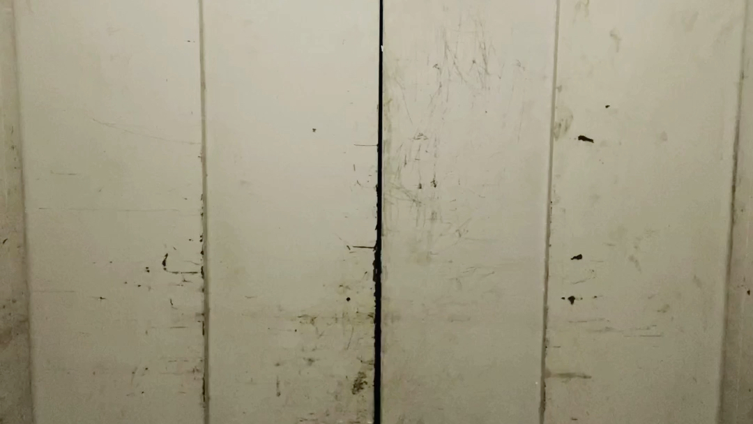 引人不适的电梯门