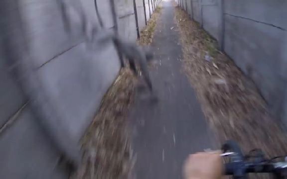 野外骑车拍摄到神秘人形生物闪过,The Rake还是猴子?