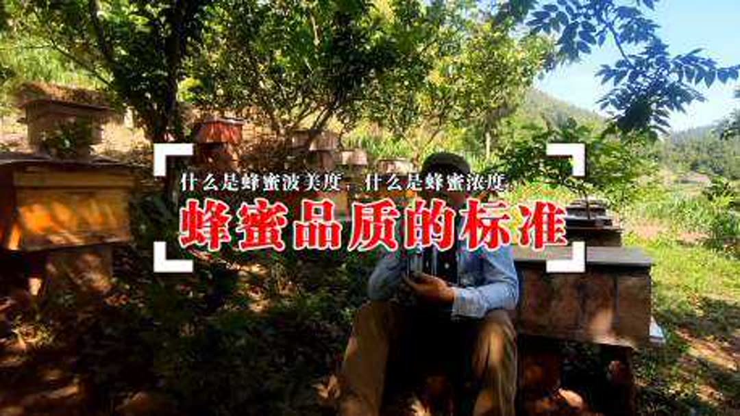 什么是蜂蜜波美度,什么是蜂蜜浓度,蜂蜜品质的标准是什么?
