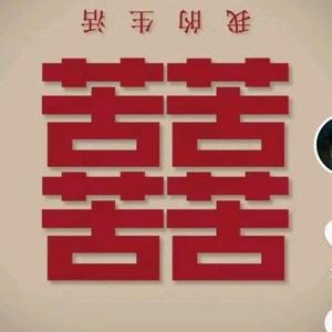 正直达西1y2 