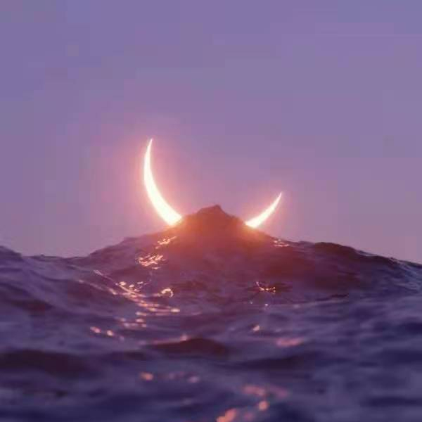 我自乘风九万里 