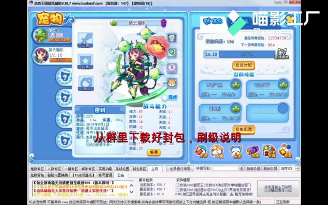 洛克王国旋风辅助,通天塔刷级封包使用教程