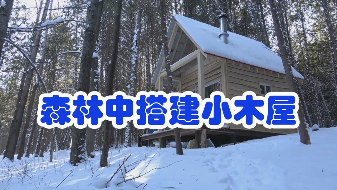 森林中搭建小木屋完整过程