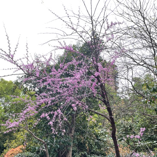 分析化学小课堂 