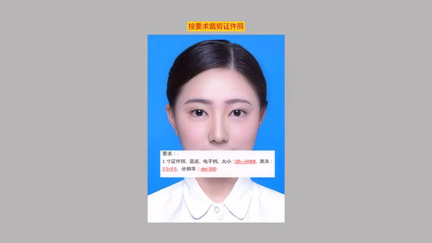 按要求裁剪证件照你会吗?本视频详细解说,看一遍类似问题不求人