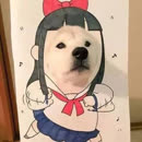 巴巴不柒柒 