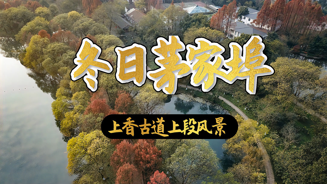 杭州的上香古道,你知道在哪里吗?很不错的徒步路线,美翻了