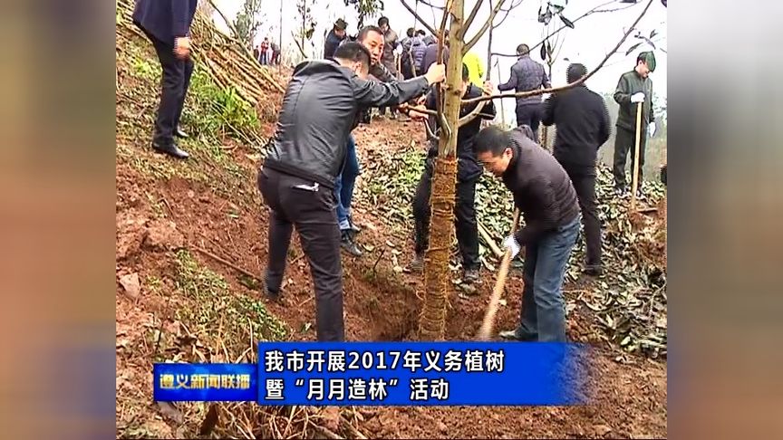 我市开展2017年义务植树暨“月月造林”活动