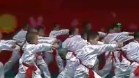 幼儿武术操《中国功夫》