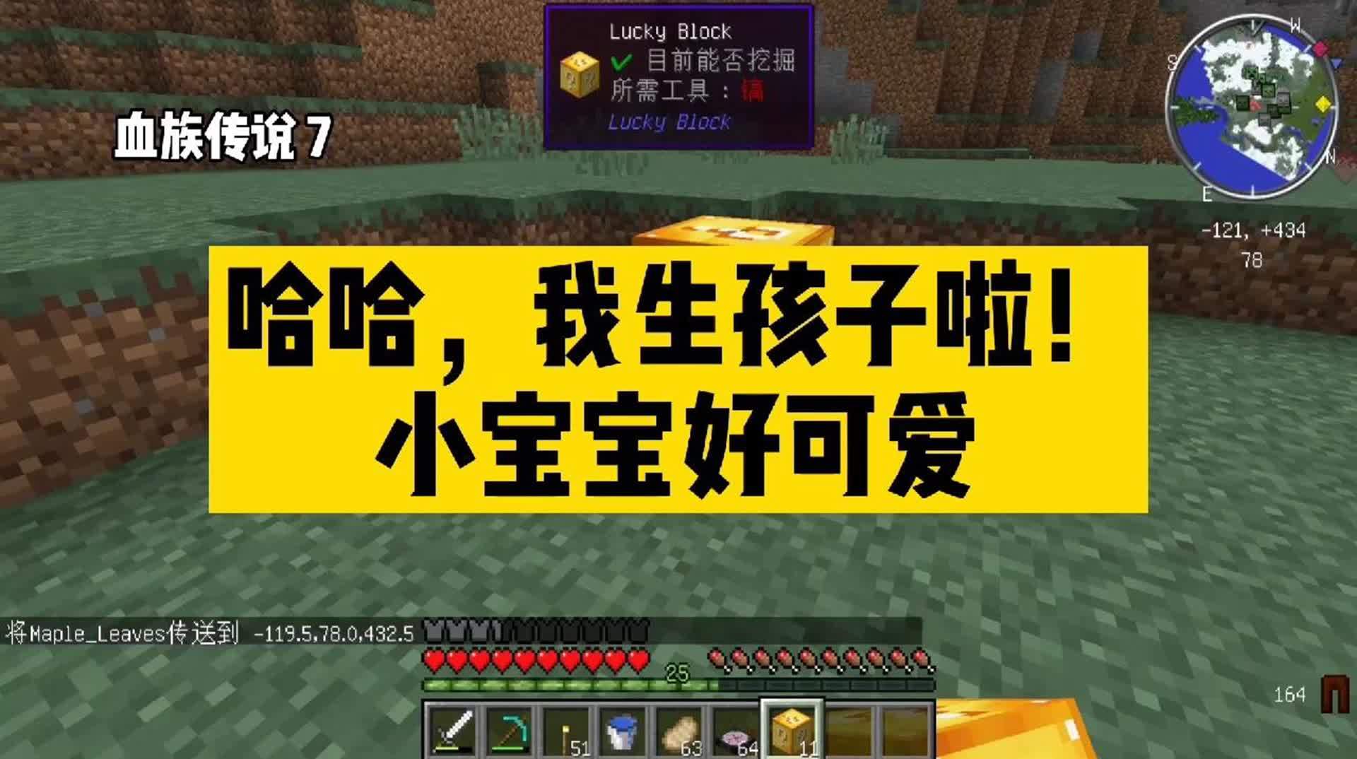 我的世界血族传说:叶枫生孩子啦!小宝宝叫啥名字啊