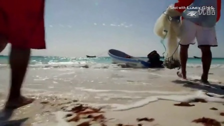 [NEW] Panasonic LUMIX GH4 摄像增稳云台 摄像增稳设备 录像增稳 微...