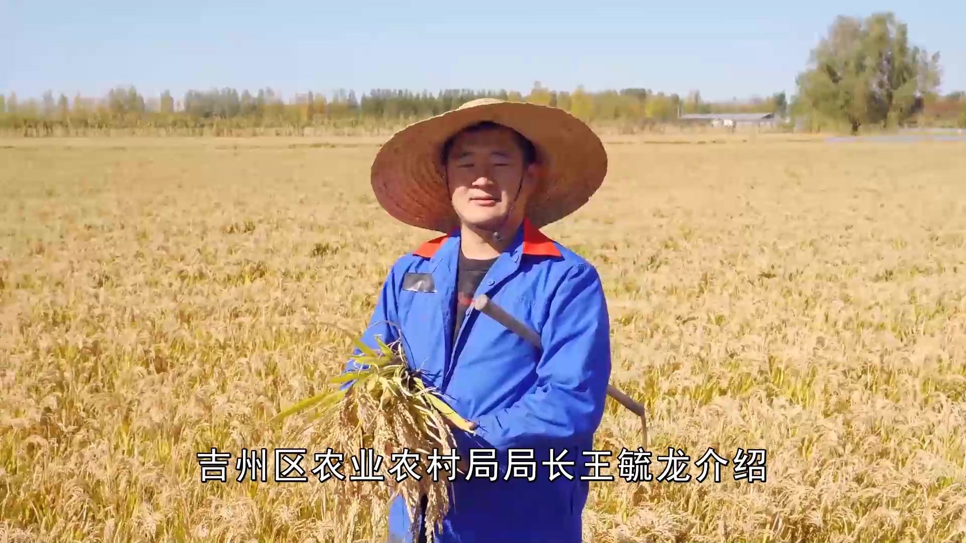 2021年建设1亿亩高标准农田标准高在哪儿?资金从何而来?