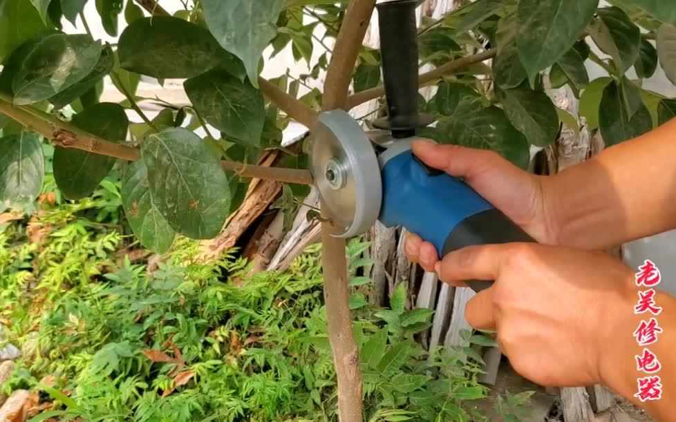 角磨机装上这种锯片,锯树还真快,大家千万别模仿