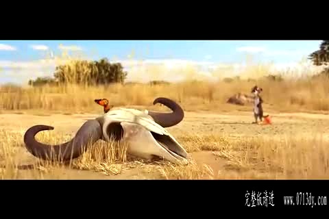 动物总动员3d _动物总动员国语_动物总动员下载