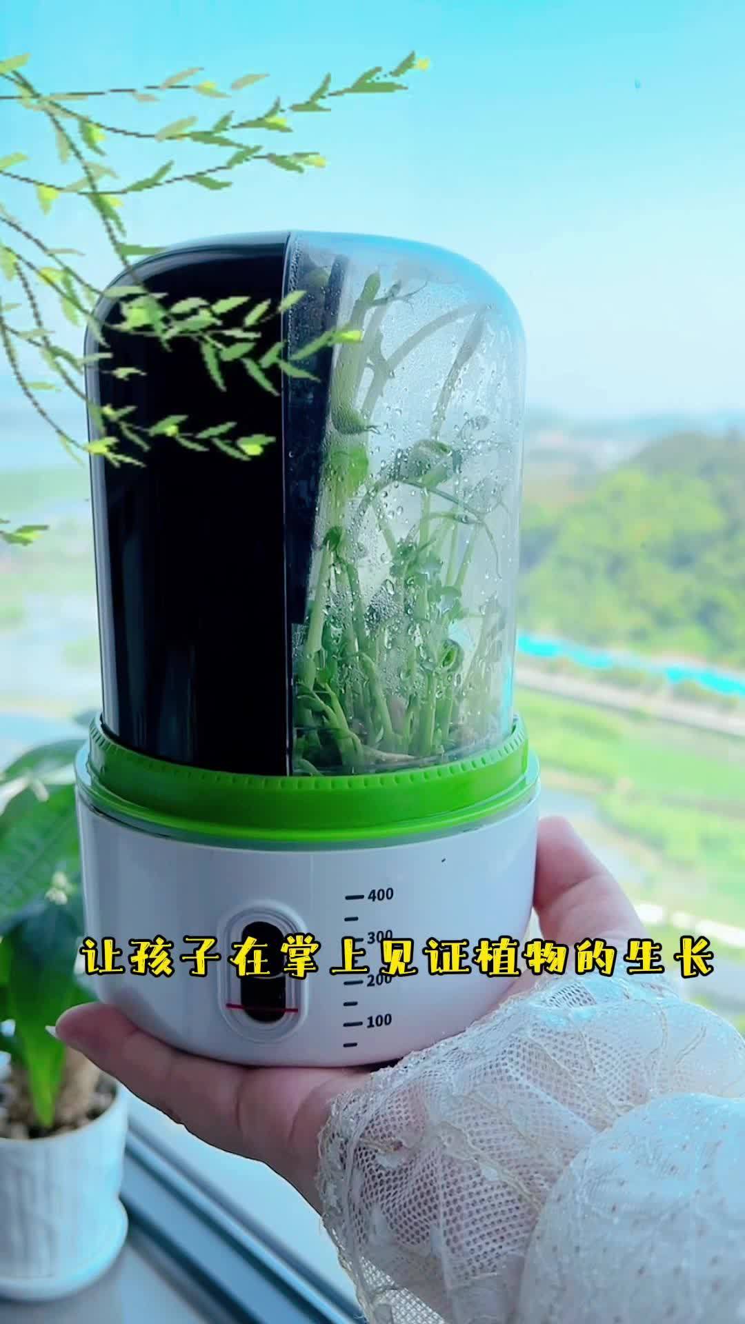 7天就能让孩子在掌上见证植物的生长过程,这次种的是豆芽,下次种草莓