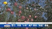 营口:苹果“小年”减产 果农“科技”增收