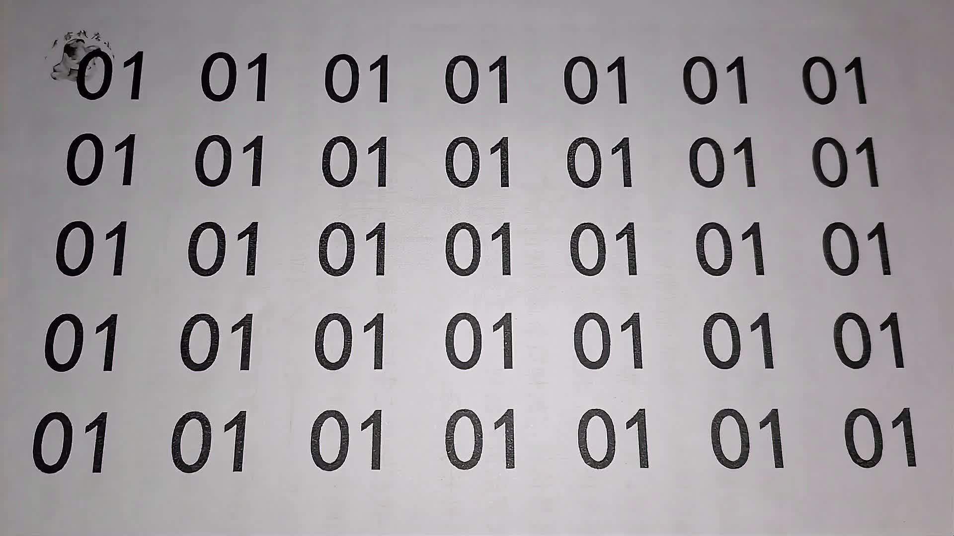 找不同,01号代表什么,你知道吗