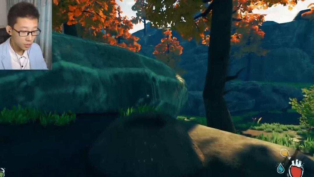 鲤鱼Ace解说:野兽模拟器,这就是小时候的大猫吗?