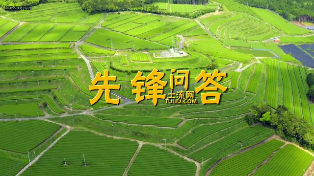 藏红花的功效与作用及禁忌