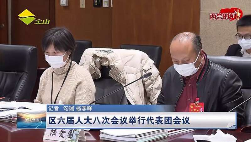 区六届人大八次会议举行代表团会议