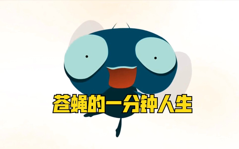 小苍蝇用一分钟完成了死前做的事情,动画短片《一分钟的人生》