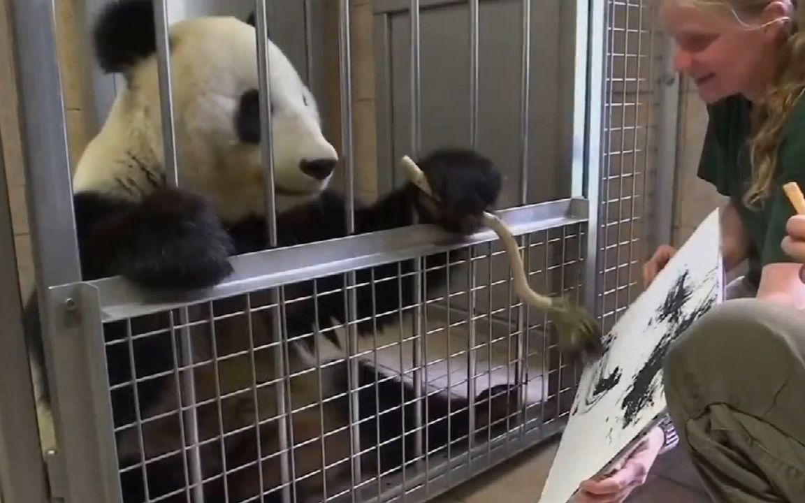 真优秀!国宝大熊猫拿起画笔画水墨画,每张卖4000元