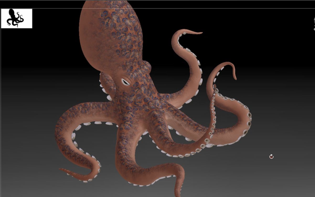 《0基础zbrush》完整流程模型新手练手必备!