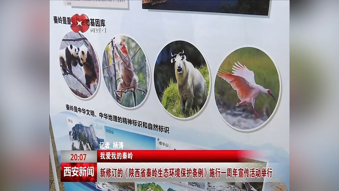 新修订的《陕西省秦岭生态环境保护条例》施行一周年宣传活动举行