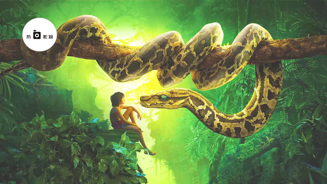 小男孩被森林之王追赶,误入千年巨蟒的地盘,被它迷惑