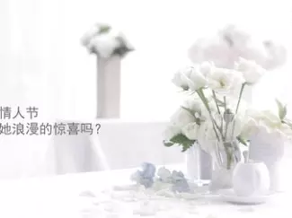 《2016情人节 铂金示爱魔法》