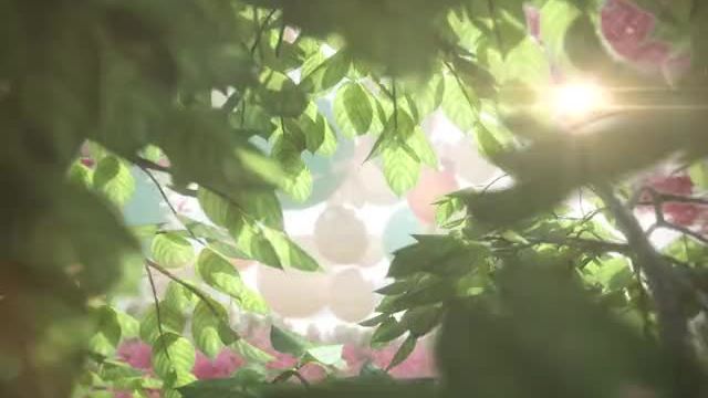 婚礼开场视频结婚大屏幕播放暖场电子相册婚纱照片mv短片模板制作