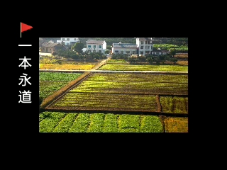 毛选赏析——《纠正土地改革宣传中的“左”倾错误》附学习资料